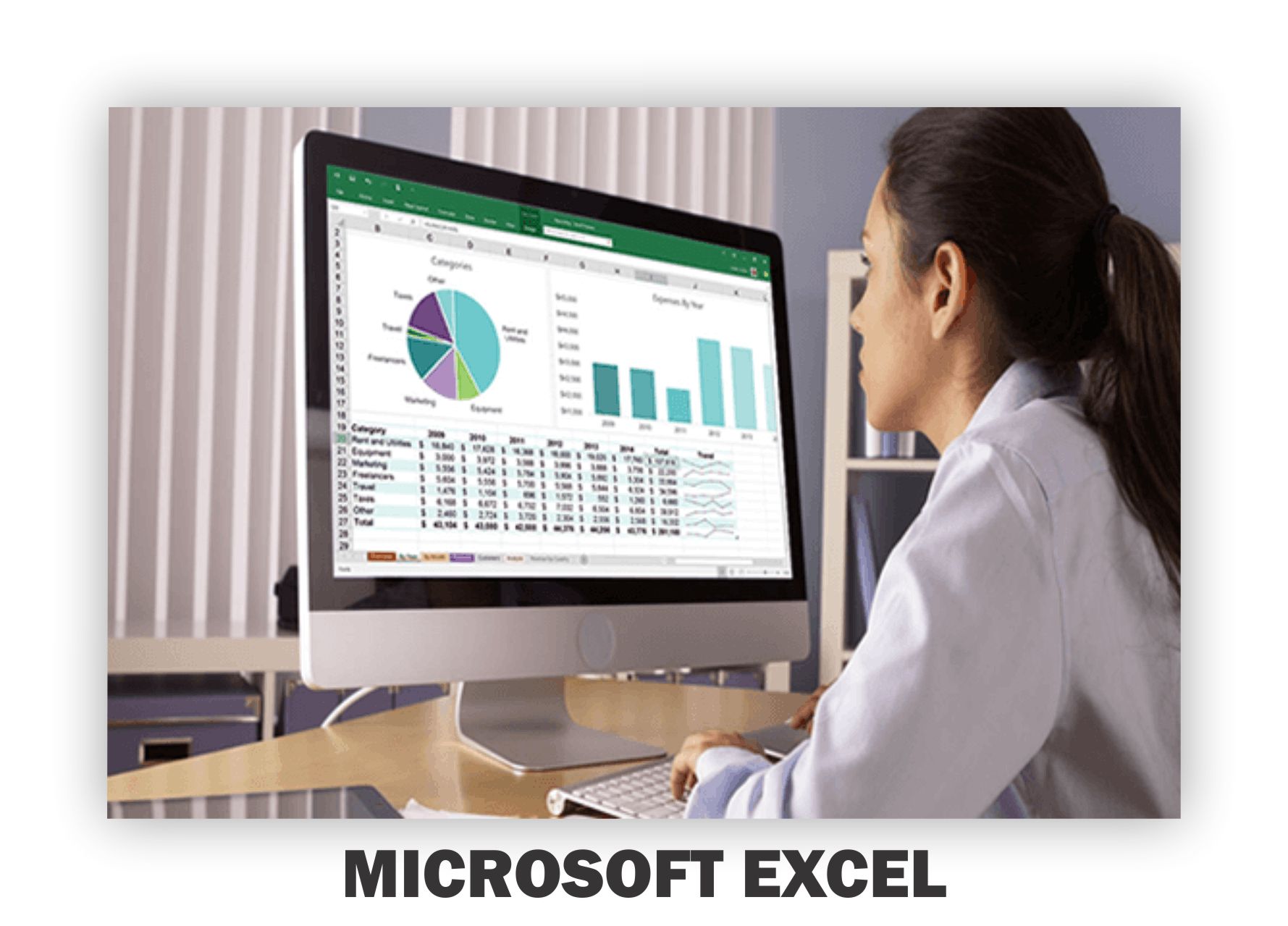 MICROSOFT EXCEL – Dexter & Heros Consulting