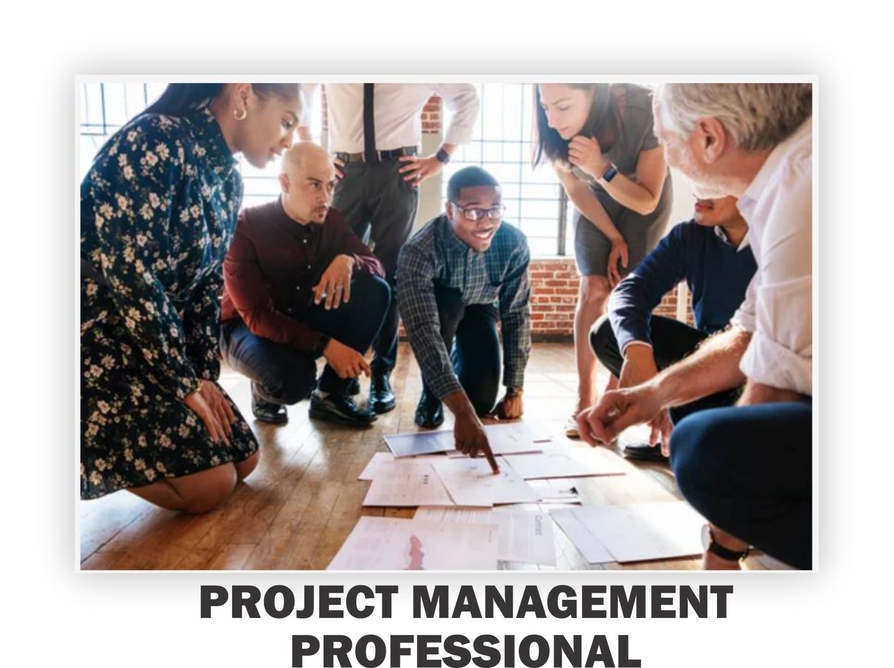 PROJECT MANAGEMENT PROFESSIONAL – Dexter & Heros Consulting